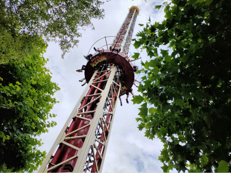 Top 10 des meilleures attractions du Parc du Bocasse - Parcs Actus