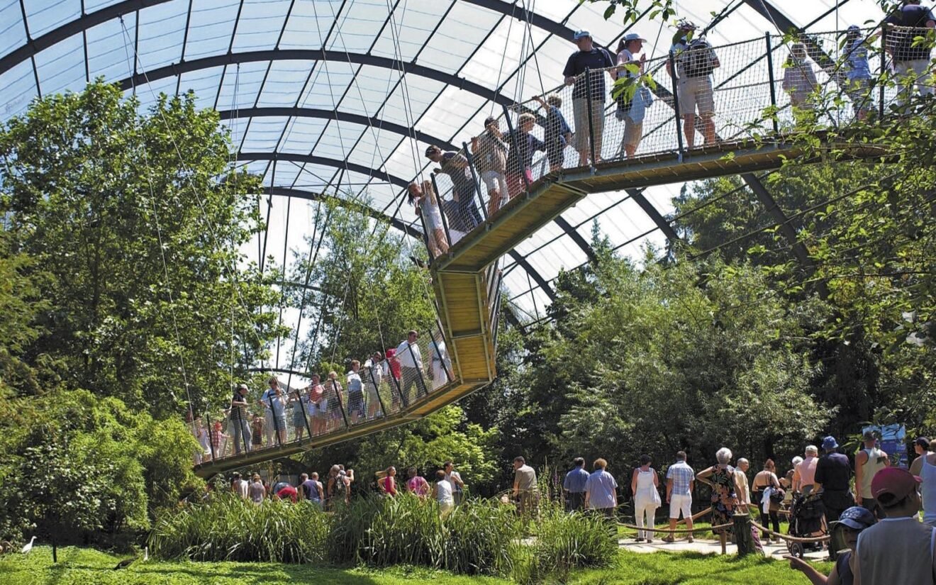 Pairi Daiza, toute l'actualité, nouveautés, astuces de visite